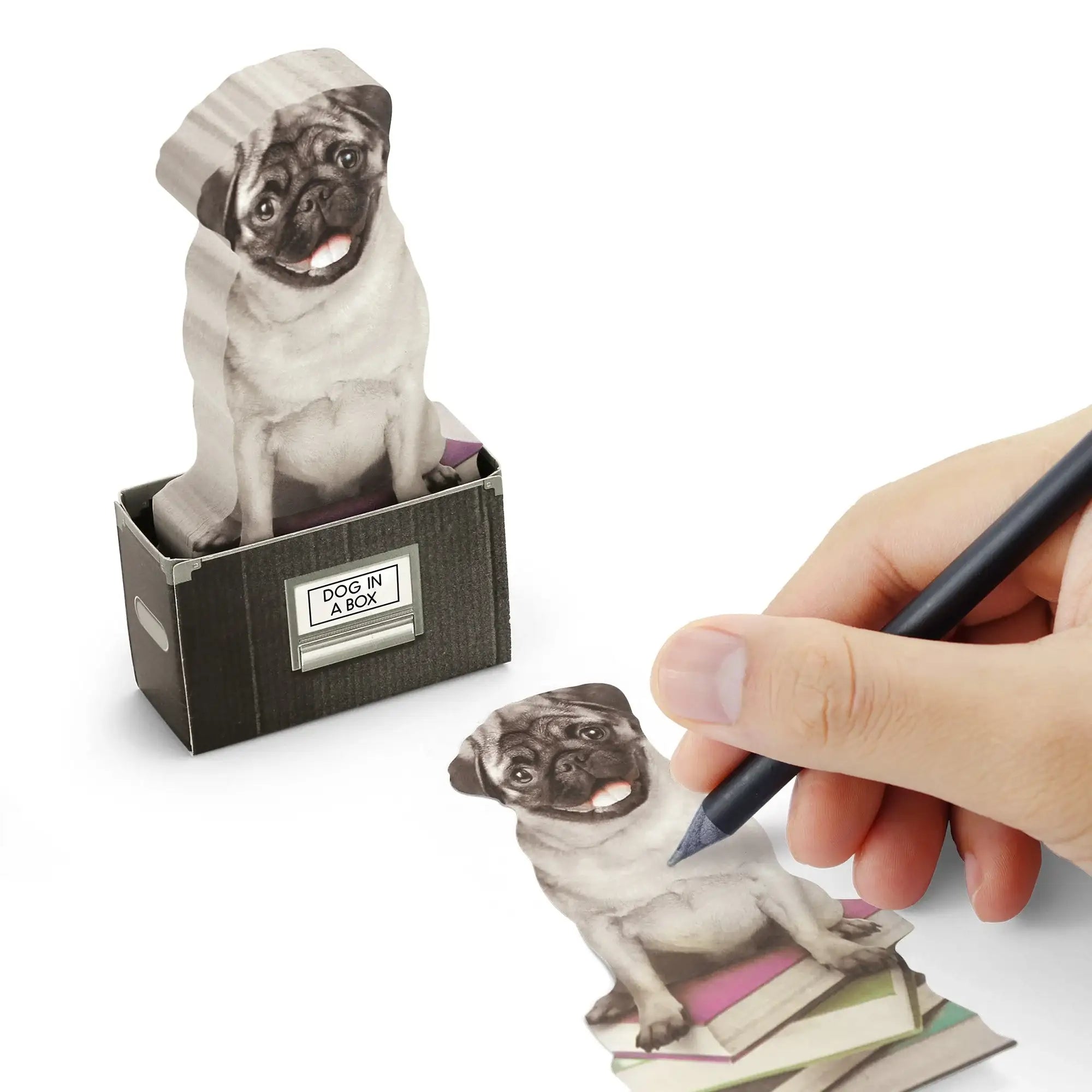 Dog In A Box Sticky Notes - Mustard London
