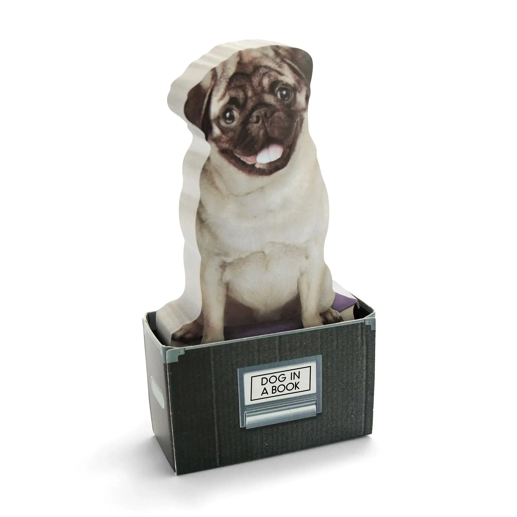 Dog In A Box Sticky Notes - Mustard London